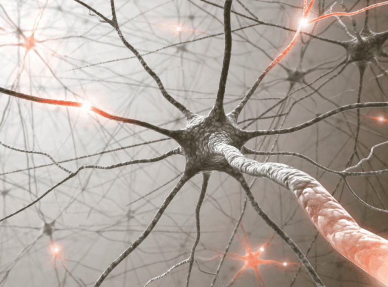 Nervous System Therapy for Pain and Stress Relief